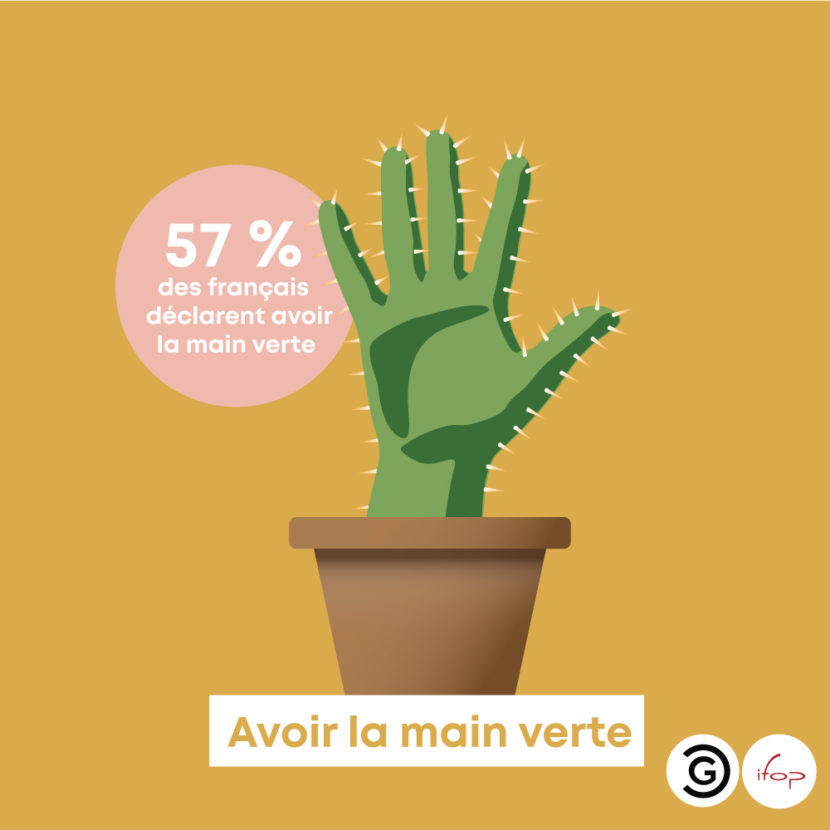 Les Français, délimitation de leur jardin et rapport aux plantes - Blog ...