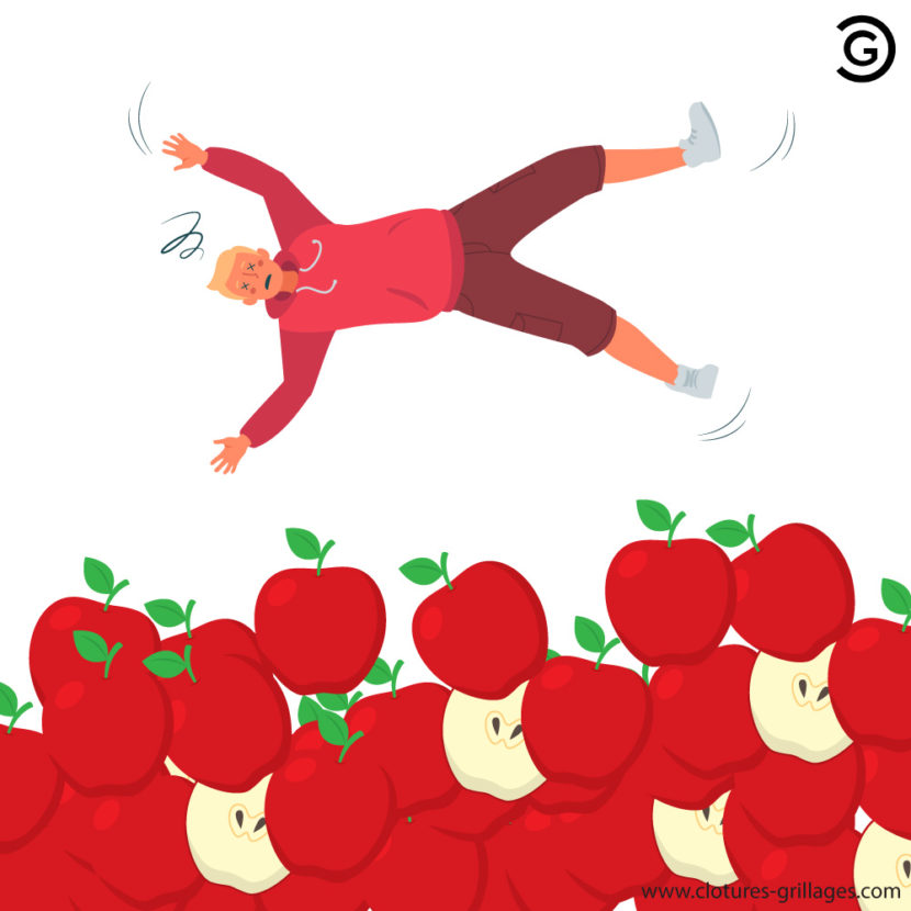 Expressions autour des légumes ou plus largement de la nature - BODEOR