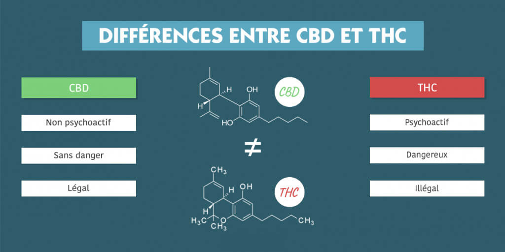 Tout savoir sur le CBD - Blog Bien au Jardin
